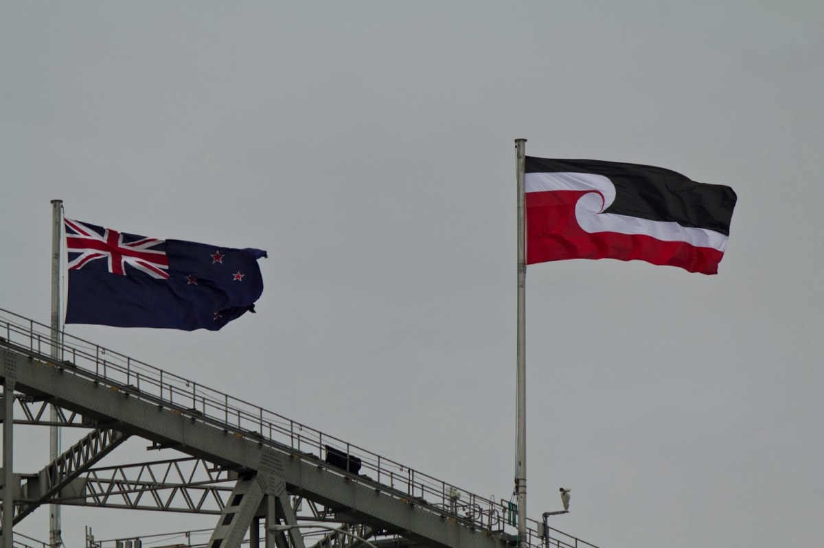 Māori & Pākehā views on the big issues – Manu's Memos